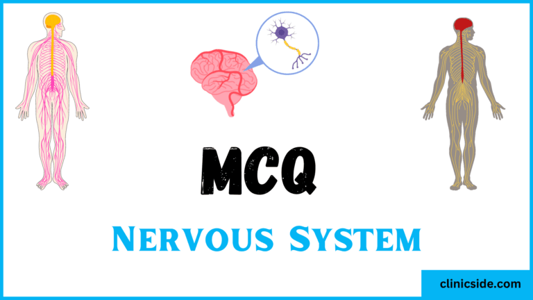 Understanding the Nervous System: A Comprehensive MCQs Quiz
